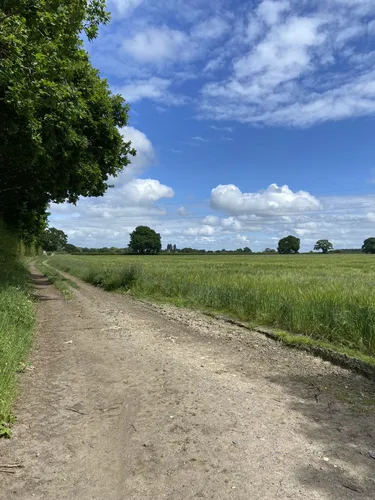 10 Best Trails, Walks, and Paths in York | AllTrails