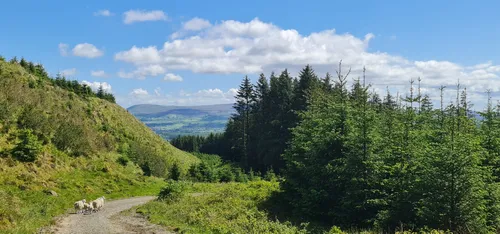10 Best Hikes and Trails in Sperrins Area of Outstanding Natural Beauty ...