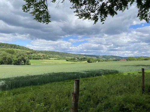 10 Best Hikes and Trails in Surrey Hills National Landscape (AONB ...