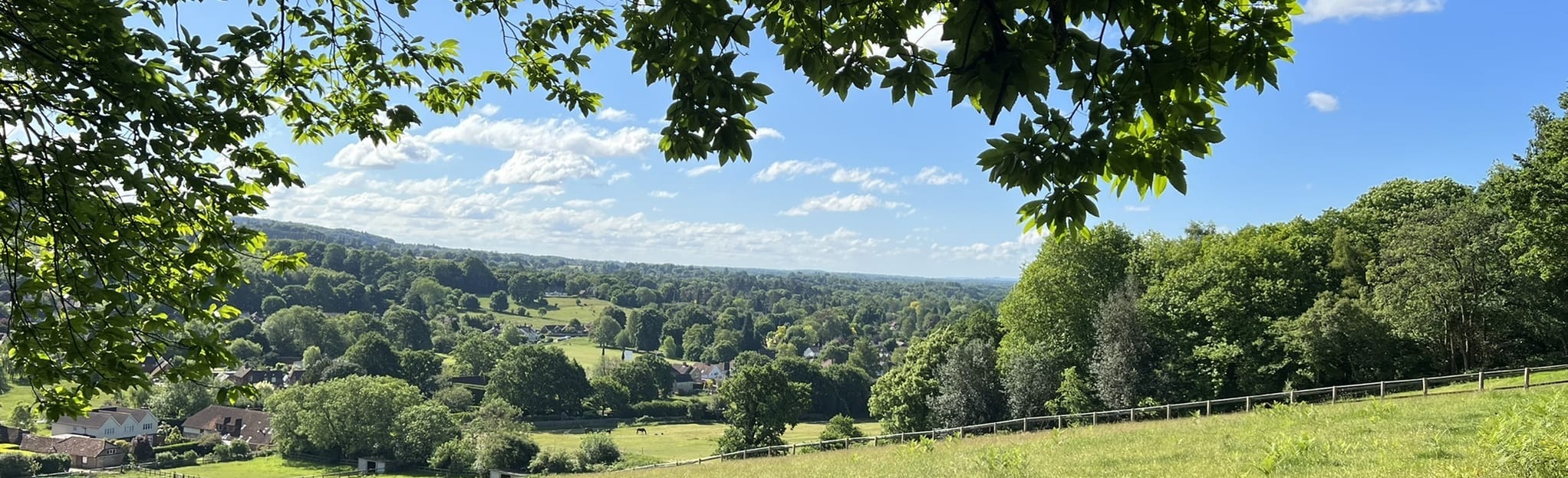 Chinthurst Hill and The Grantley Arms Circular: 221 foto - Surrey ...