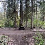 Belknap Hot Springs Resort, Oregon - 56 Reviews, Map | AllTrails