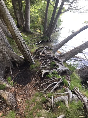 Best Hikes and Trails in Teichner Preserve | AllTrails