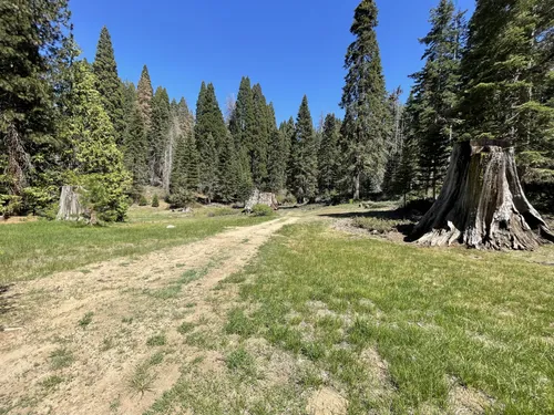 2023 Best 10 Easy Trails in Cedar Grove | AllTrails