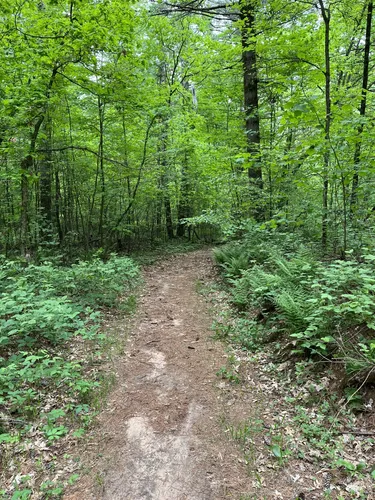 Best Hikes and Trails in Wisconsin Dells | AllTrails