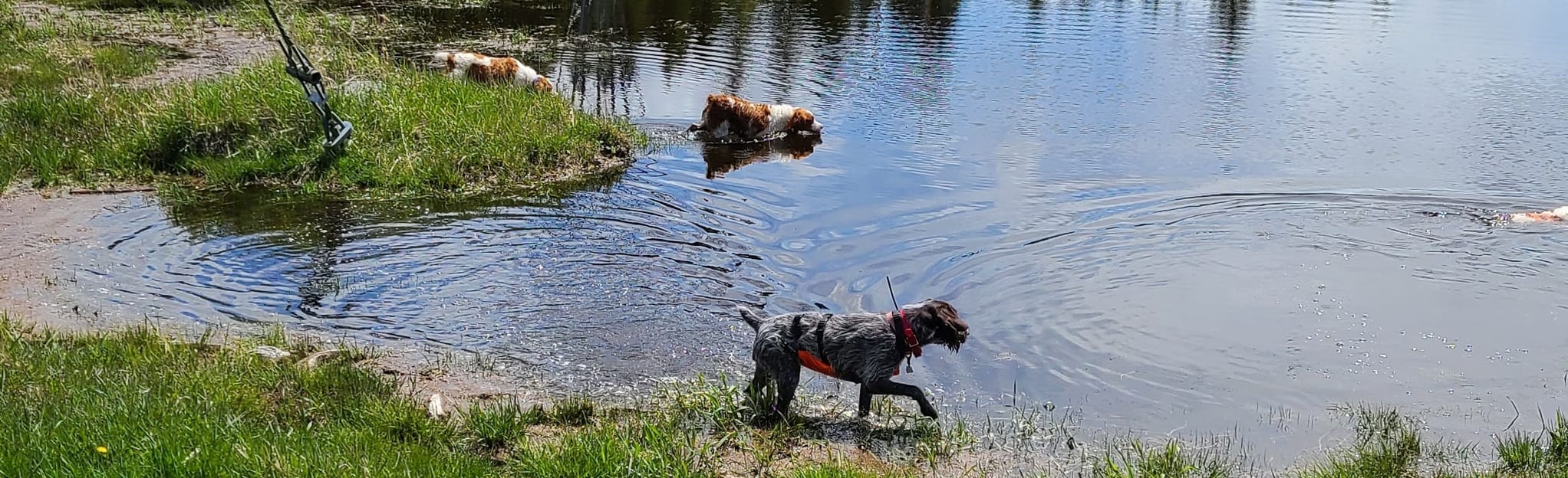 Peter Hope Lake, British Columbia, Canada - 6 Reviews, Map | AllTrails