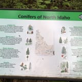High Point Trail, Idaho - 262 Reviews, Map | AllTrails