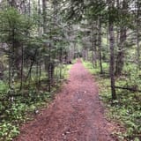 High Point Trail, Idaho - 262 Reviews, Map | AllTrails