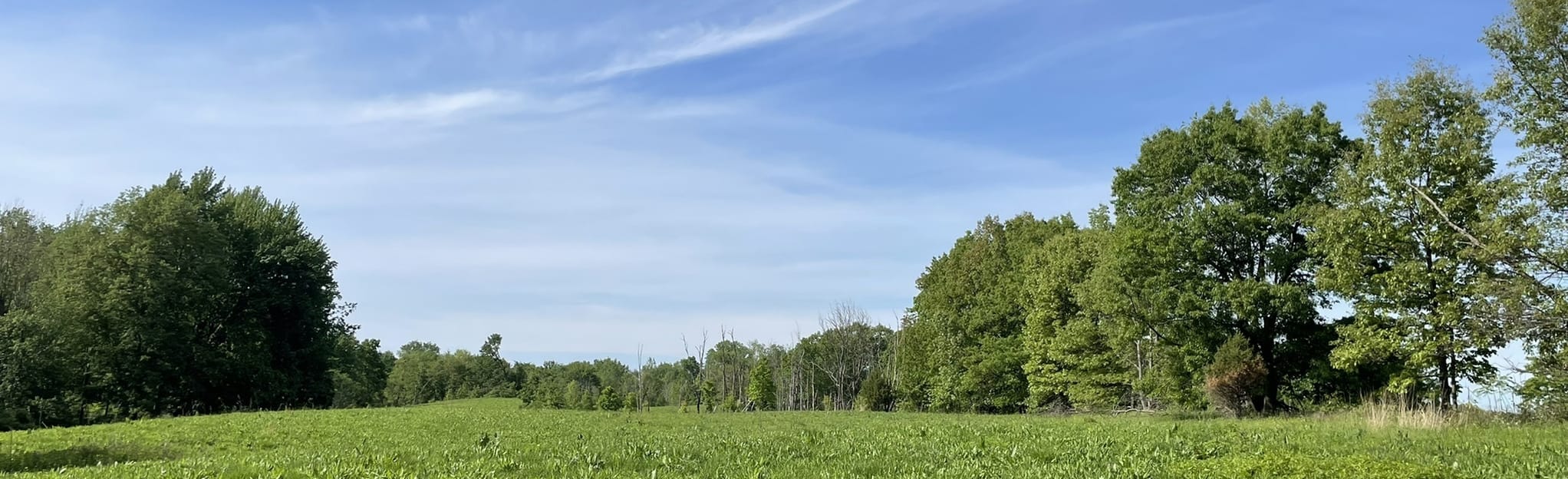 Mike Metz Fen Trail: 10 Reviews, Map - Indiana | AllTrails