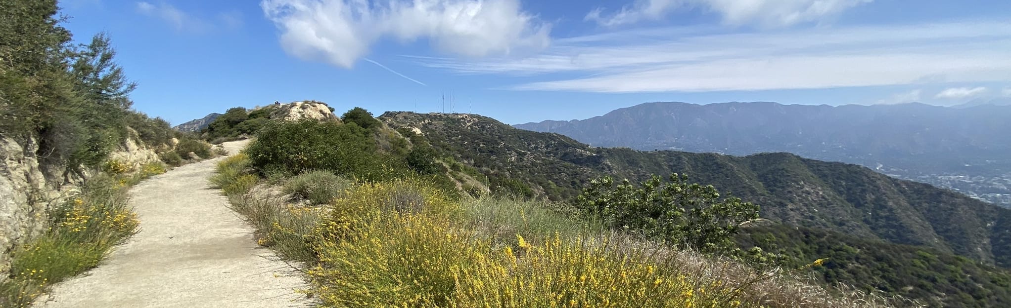 Beaudry Loop, California - 4,800 Reviews, Map | AllTrails