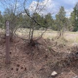 Turret Trail, Colorado - 315 Reviews, Map | AllTrails