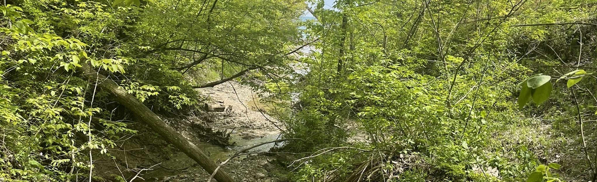 Cliffside Park Trail, Wisconsin - 314 Reviews, Map | AllTrails