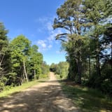 Carbuncle Pond and Moosup River Trail, Rhode Island - 261 Reviews, Map ...