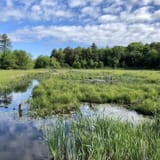 Carbuncle Pond and Moosup River Trail, Rhode Island - 261 Reviews, Map ...