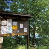 Carbuncle Pond and Moosup River Trail, Rhode Island - 261 Reviews, Map ...