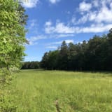 Carbuncle Pond and Moosup River Trail, Rhode Island - 261 Reviews, Map ...