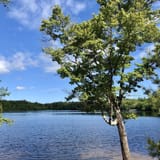 Carbuncle Pond and Moosup River Trail, Rhode Island - 261 Reviews, Map ...