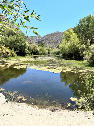 10 Best Trails and Hikes in Ensenada | AllTrails