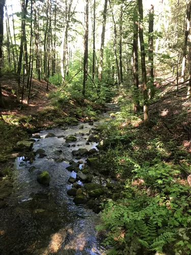 Best Hikes and Trails in Emily Griffith Beardsley Preserve | AllTrails