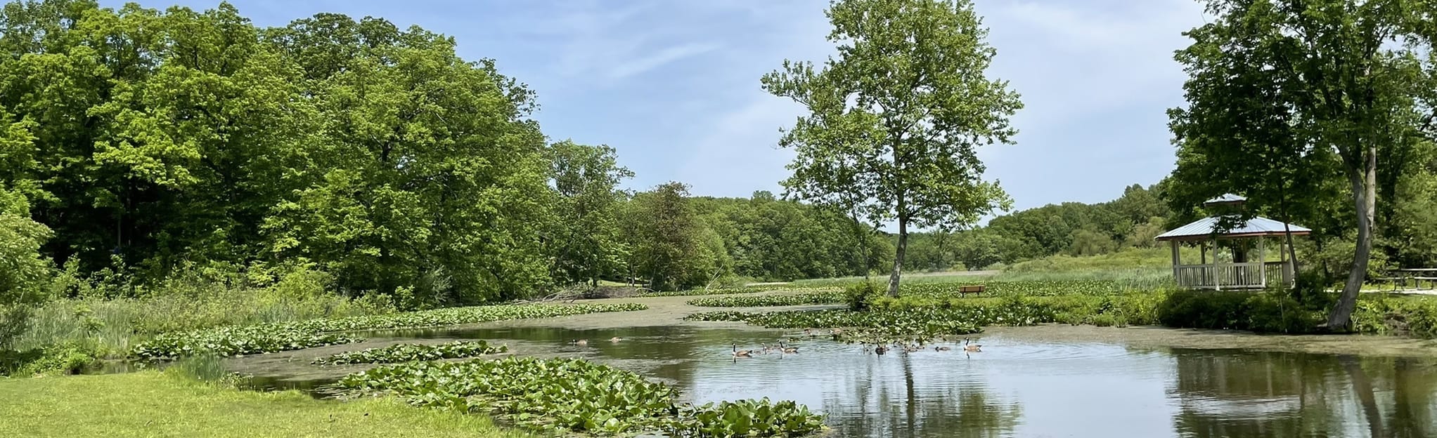 Red Mill County Park Loop, Indiana - 151 Reviews, Map | AllTrails