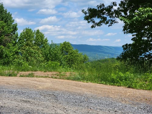 2023 Best Views Trails in Tuscarora State Park | AllTrails