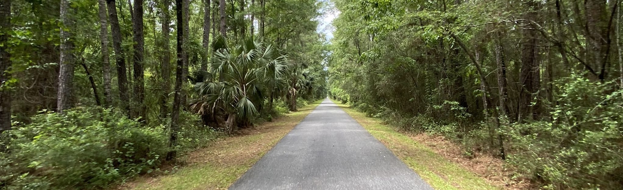 Talahassee Saint Marks Historic Rail State Trail, Florida - 101 Reviews ...