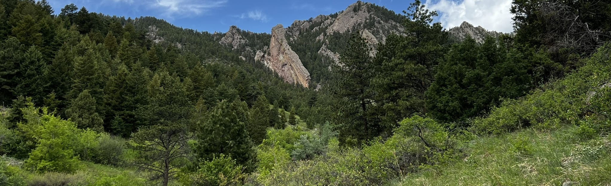 Mesa, Homestead, Shadow Canyon, and Towhee Loop: 2.159 Fotos - Colorado ...