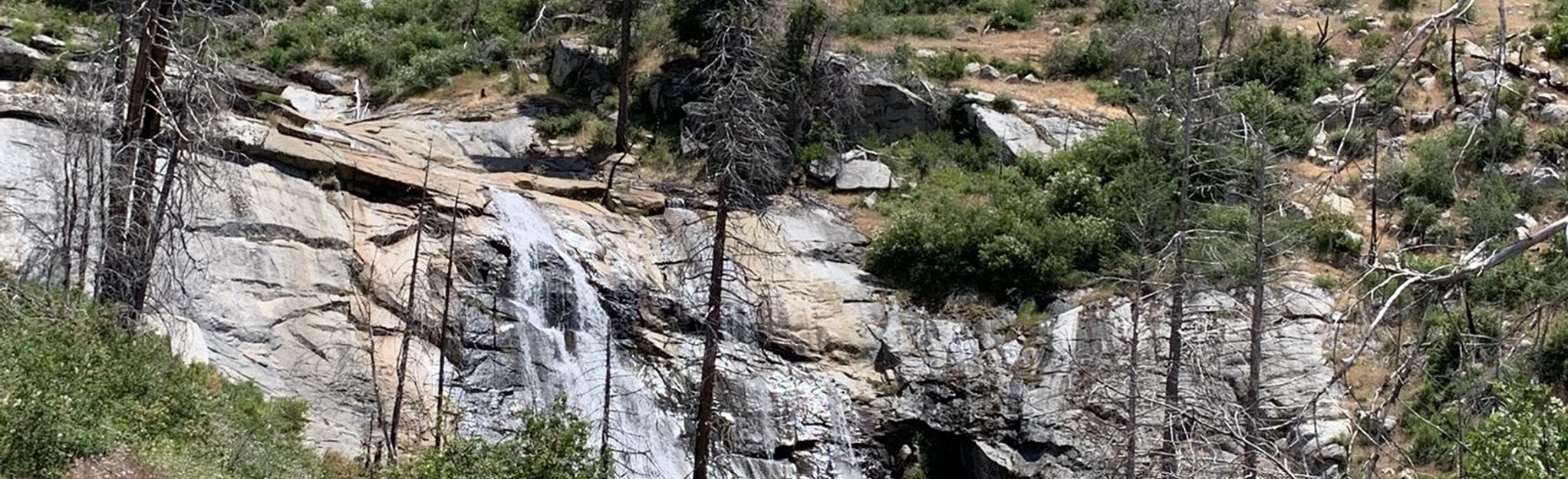 Foresta Falls Trail, California - 82 Reviews, Map | AllTrails