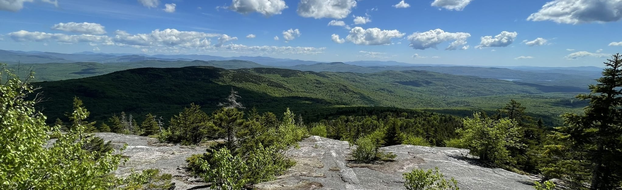 Mount Cardigan via Manning, Clark, and Holt Trail Loop, New Hampshire ...