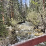 Silver Creek Trail, Colorado - 92 Reviews, Map | AllTrails