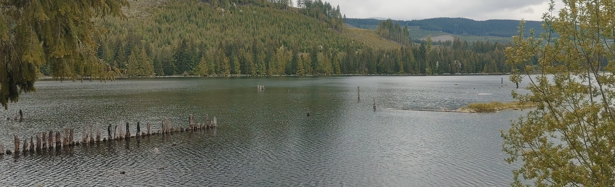 Wolf Lake Loop, British Columbia, Canada - 22 Reviews, Map | AllTrails