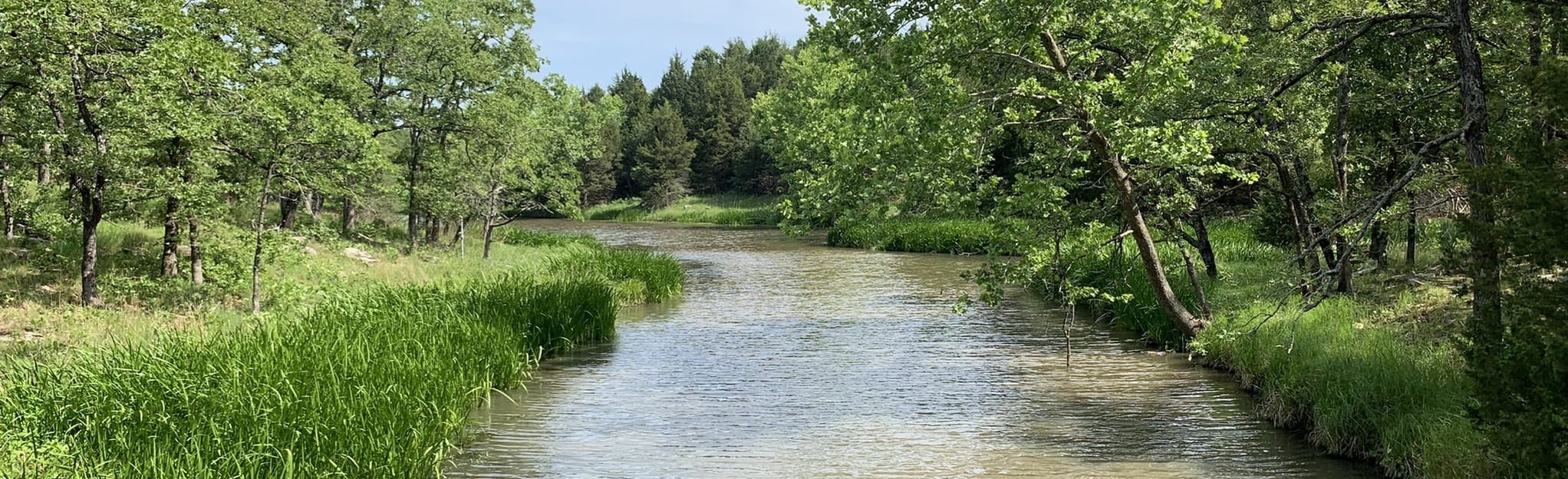 Woolaroc Museum & Wildlife Preserve, 106 Photos - Oklahoma | AllTrails