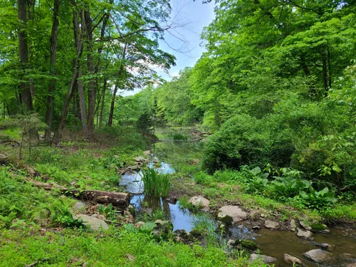 Best Hikes and Trails in Maple Hill Preserve | AllTrails