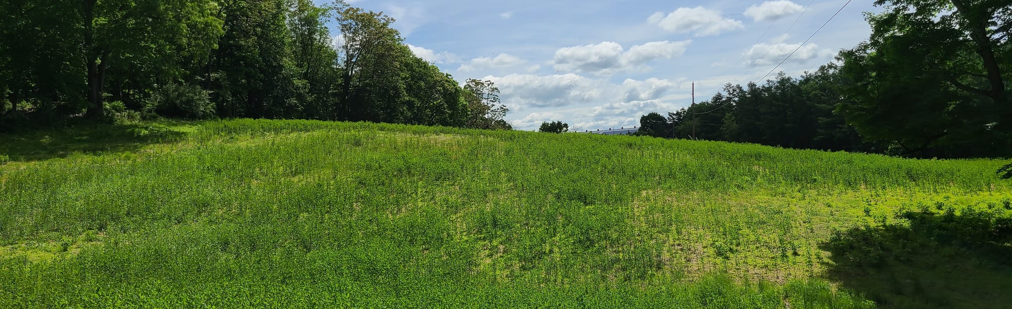 Maple Hill Preserve: 19 Reviews, Map - New Jersey | AllTrails