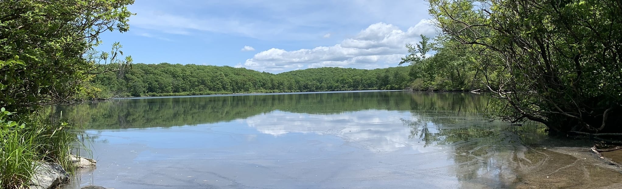 Mount Tammany and Sunfish Pond Loop: 852 Reviews, Map - New Jersey ...