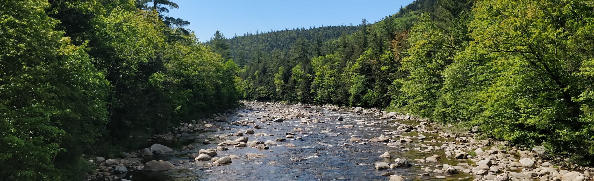 Swift River Lower Falls: 133 Reviews, Map - New Hampshire | AllTrails