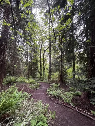Best Moderate Trails in Seattle | AllTrails