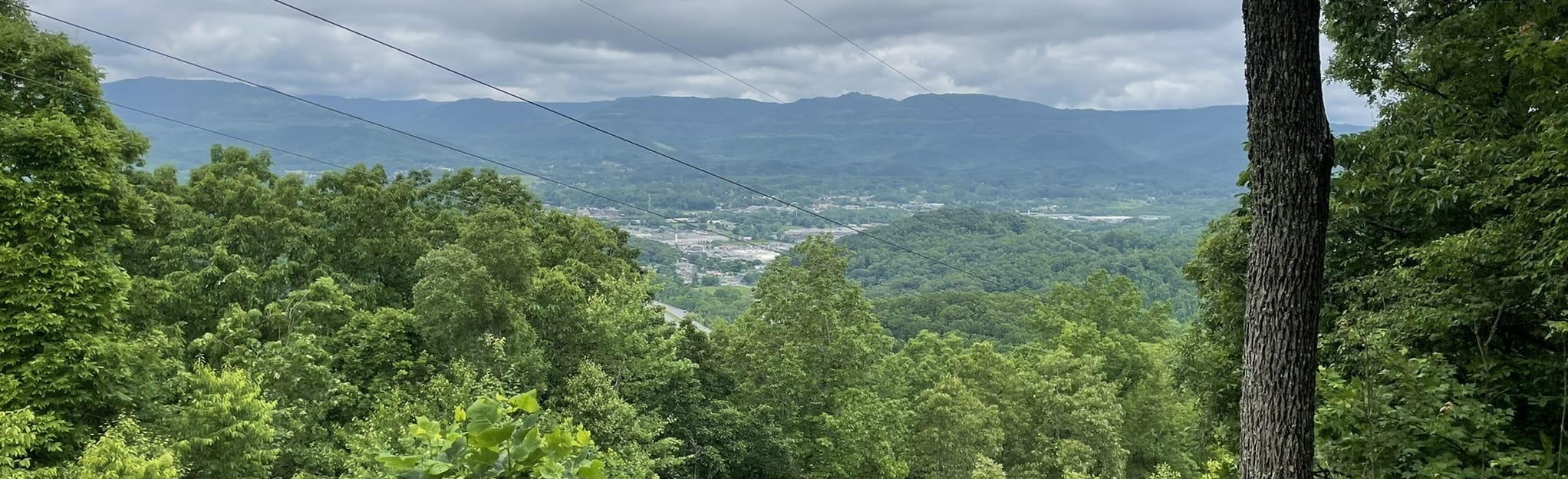 Tri-State Peak via Wilderness Trail, Kentucky - 433 Reviews, Map ...