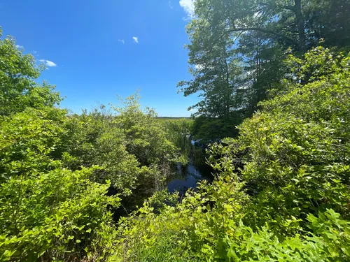 Best 10 Hiking Trails in Burrage Pond Wildlife Management Area | AllTrails