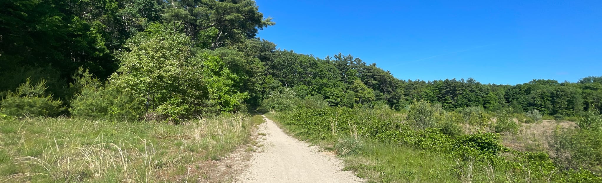 Smitty's Bog Bay Circuit Trail Loop : 6 Photos - Massachusetts ...