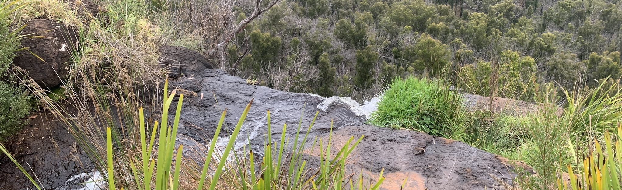Ebor Falls Walking Track: 31 Reviews, Map - New South Wales, Australia ...