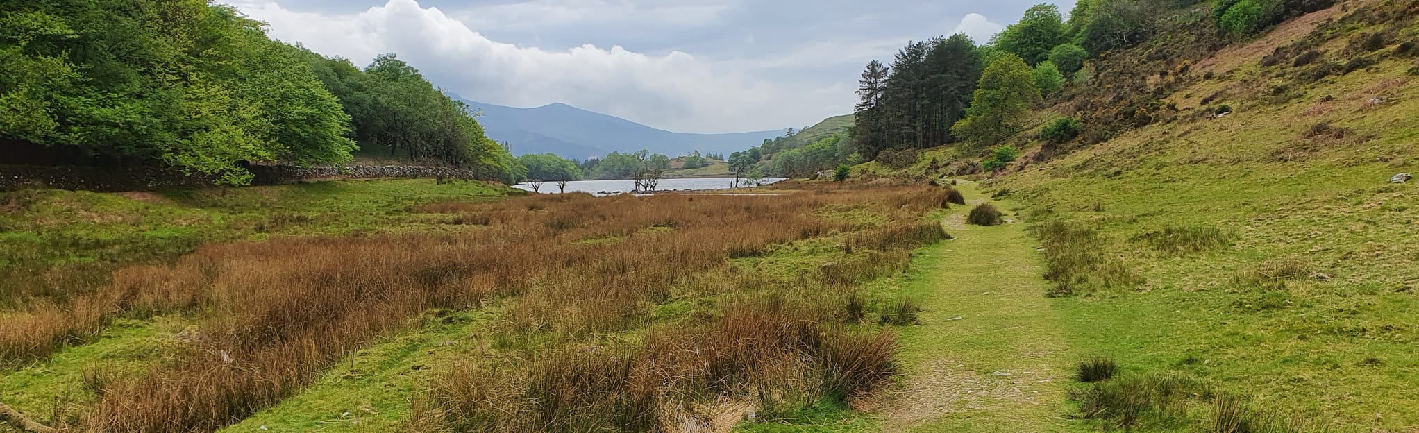 Llyn Cynwch Circular : 125 Photos - Gwynedd, Pays de Galles | Randonnée ...