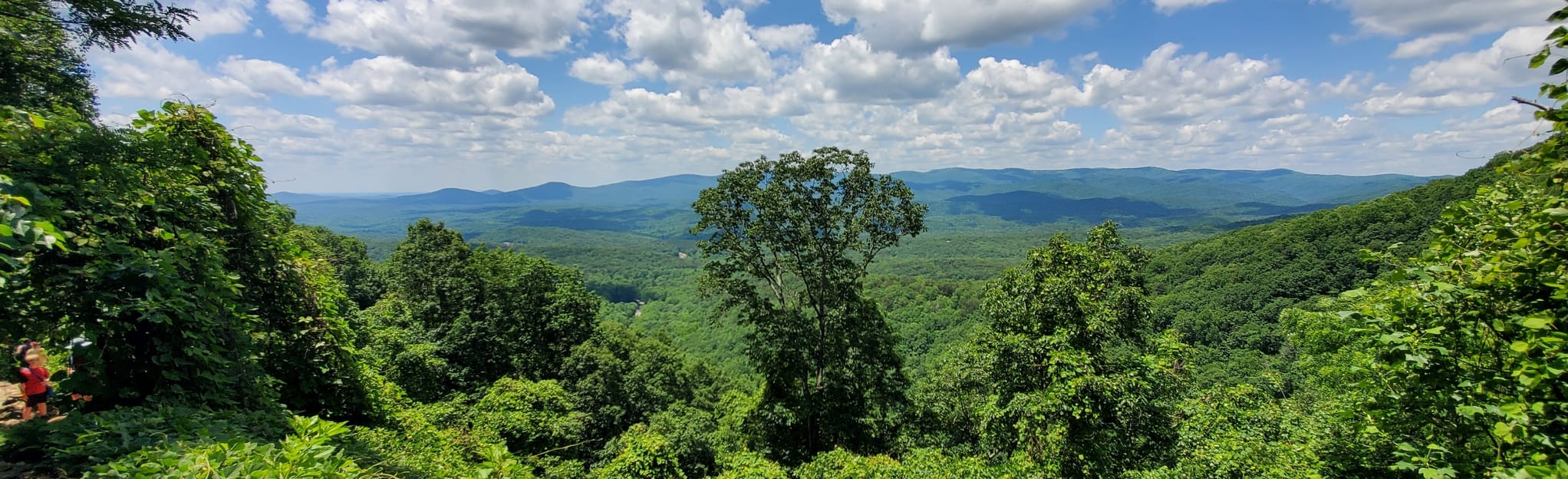 Amicalola Falls via East Ridge Loop Trail, Georgia - 3,232 Reviews, Map ...