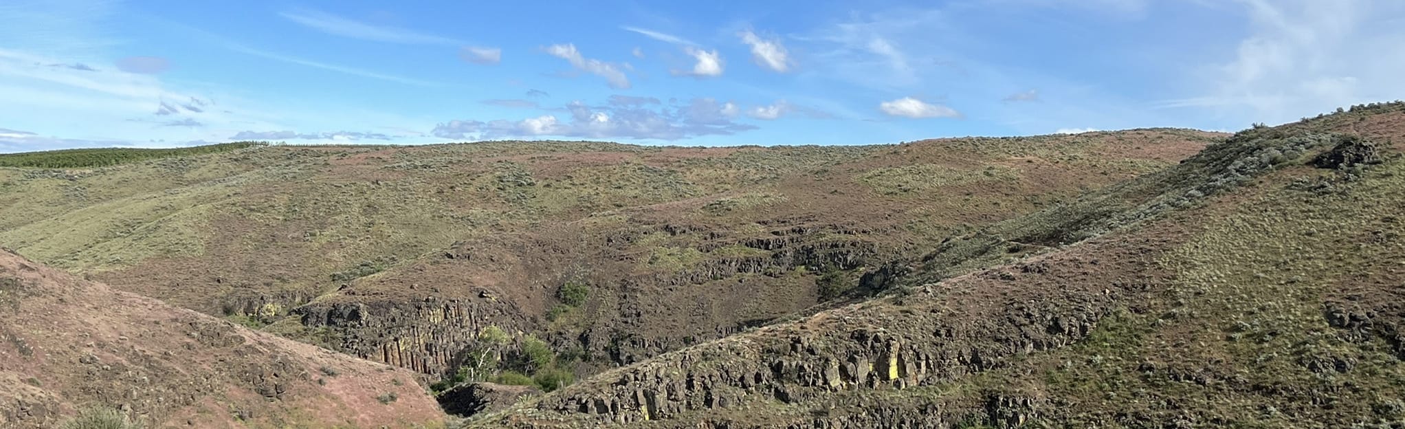 Cowiche Canyon Uplands to Wilridge Winery, Washington - 101 Reviews ...