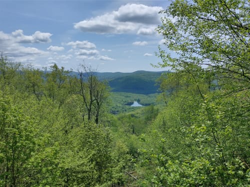 Best 10 Hikes and Trails in Delaware Wild Forest | AllTrails