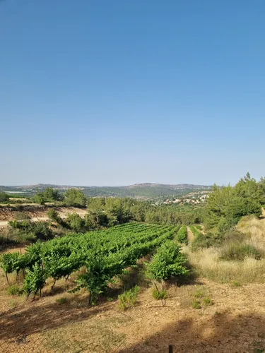 2023 Best Trails, Walks, and Paths in Har Adar | AllTrails