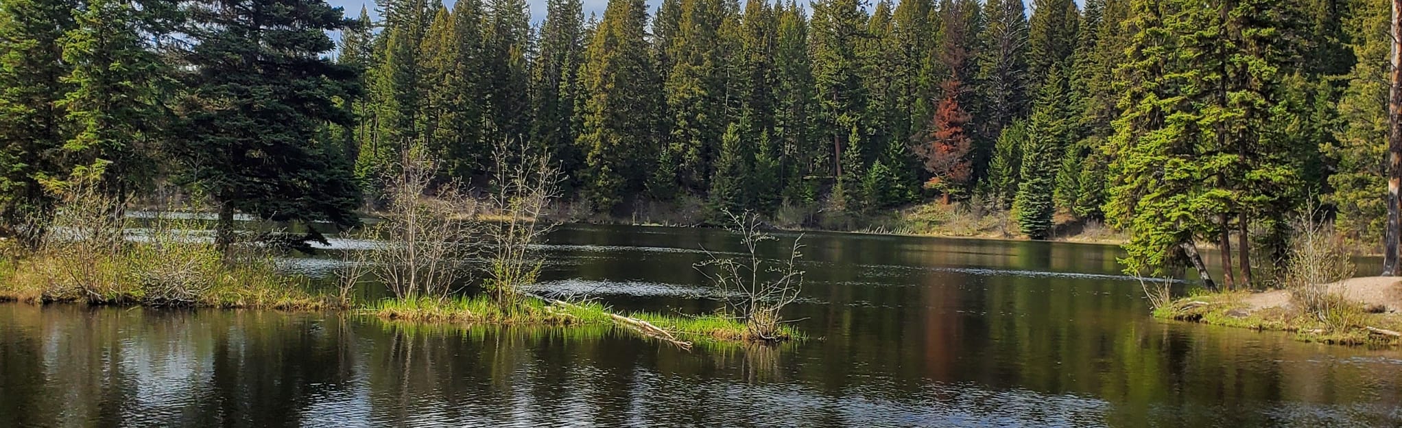 Berman Lake Trail: 9 Reviews, Map - British Columbia, Canada | AllTrails