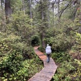 Sand Point Trail, Washington - 266 Reviews, Map | AllTrails