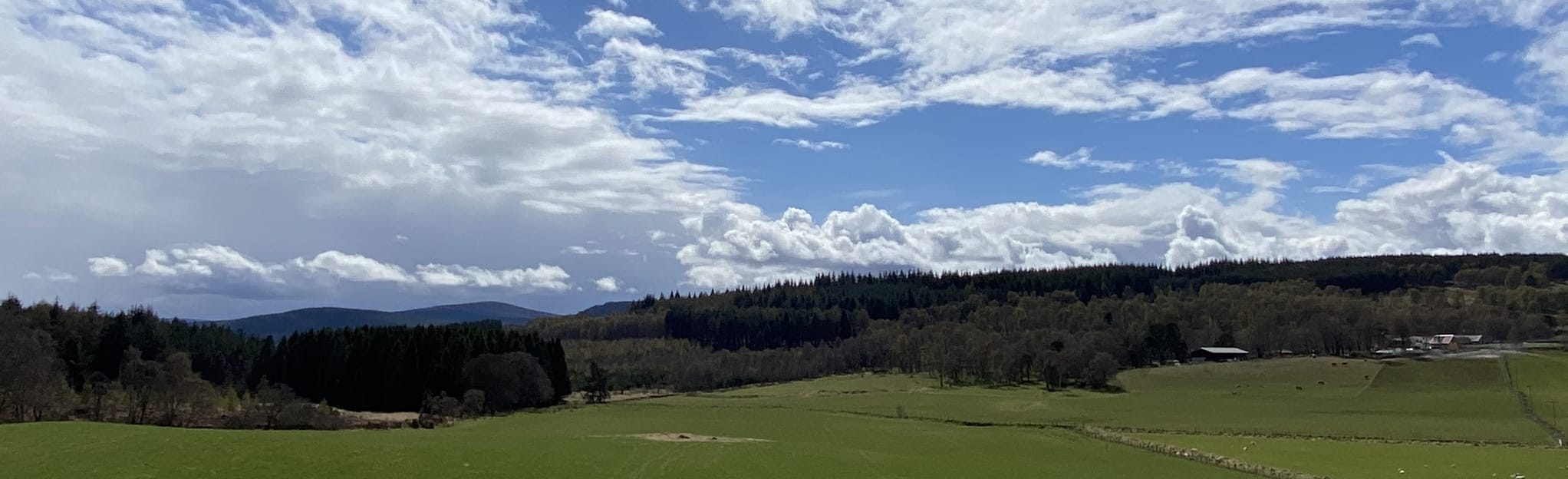 Tarland Way: Tarland to Aboyne, Aberdeenshire, Scotland - 7 Reviews ...