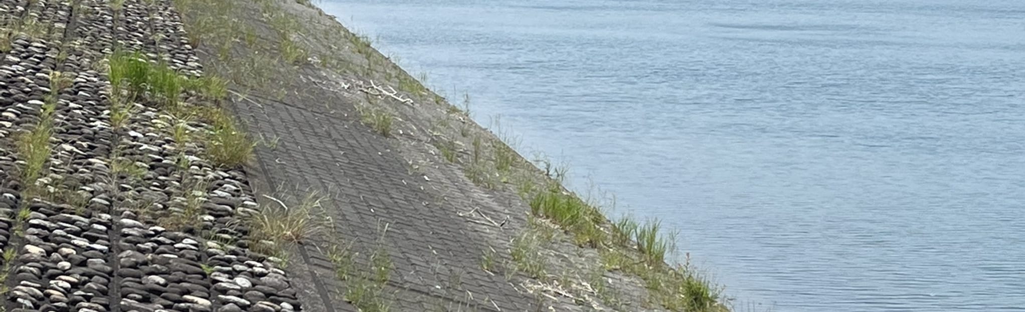 Sayama Kyuryo Hills - Lake Sayama - Lake Tama Loop - Tokyo, Japan ...