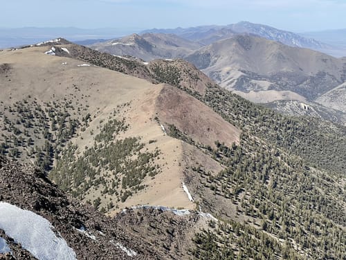 Best Hikes and Trails in Arc Dome Wilderness | AllTrails